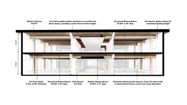 Mass Timber Schools: Wellness in Wood - Mithun